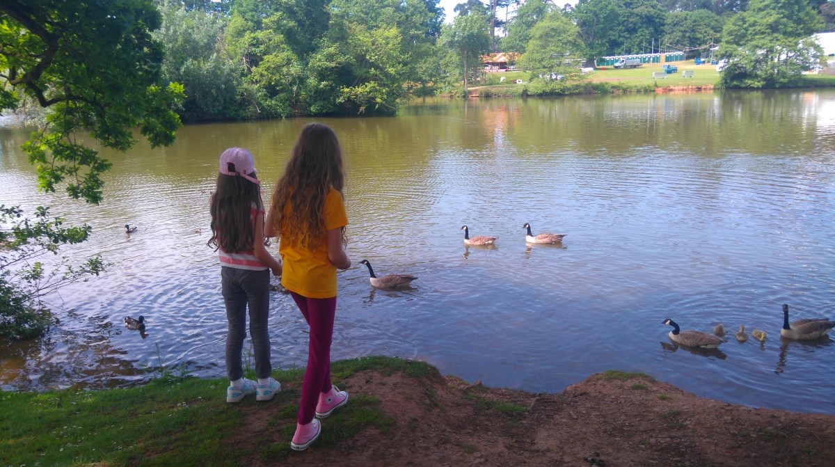 BLOGGER SHOWCASE – RHUBARB AND RUNNER BEANS – WILD WORDS