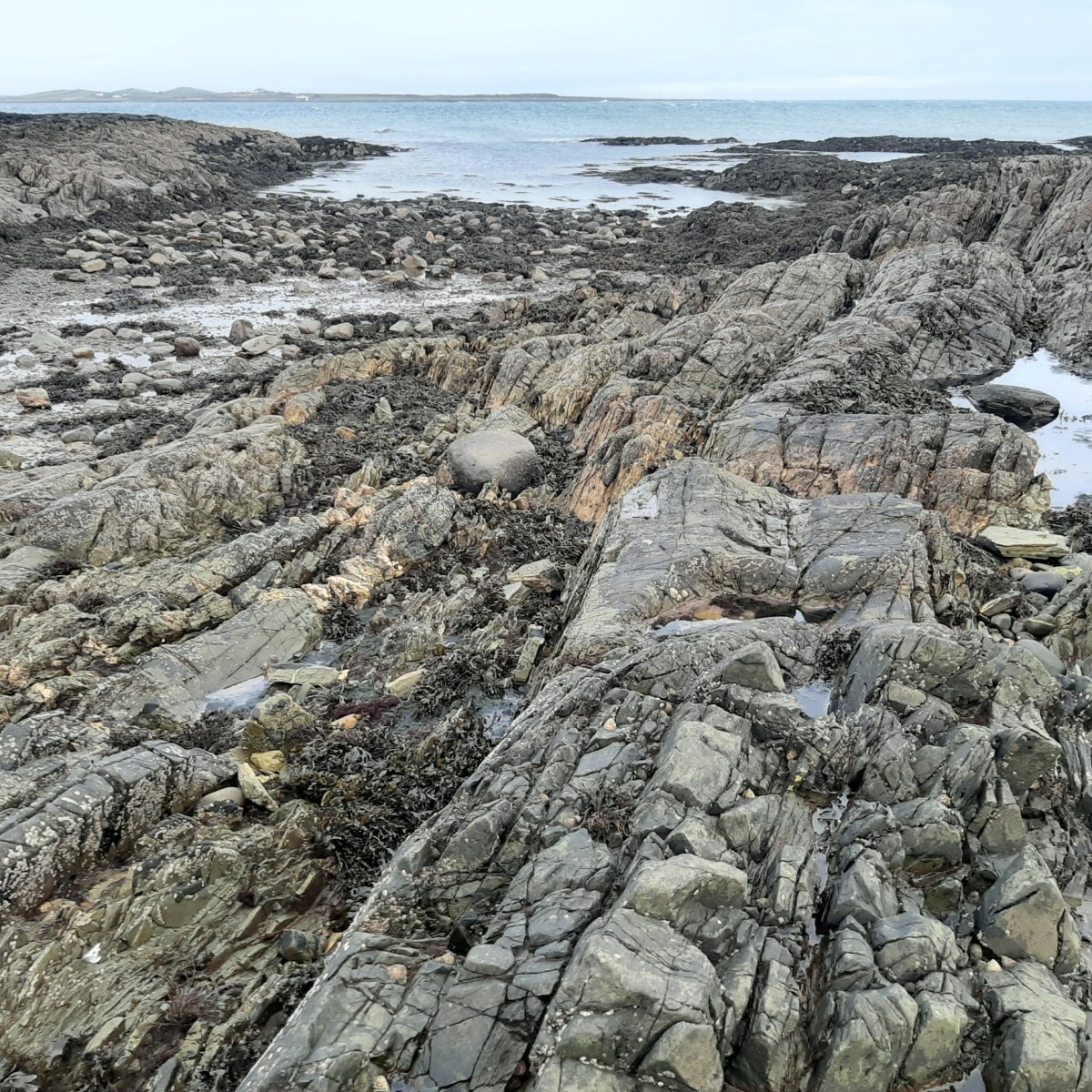WILD PLACES TO VISIT – NORTHERN IRELAND – KILLARD NATURE RESERVE – WILD ...