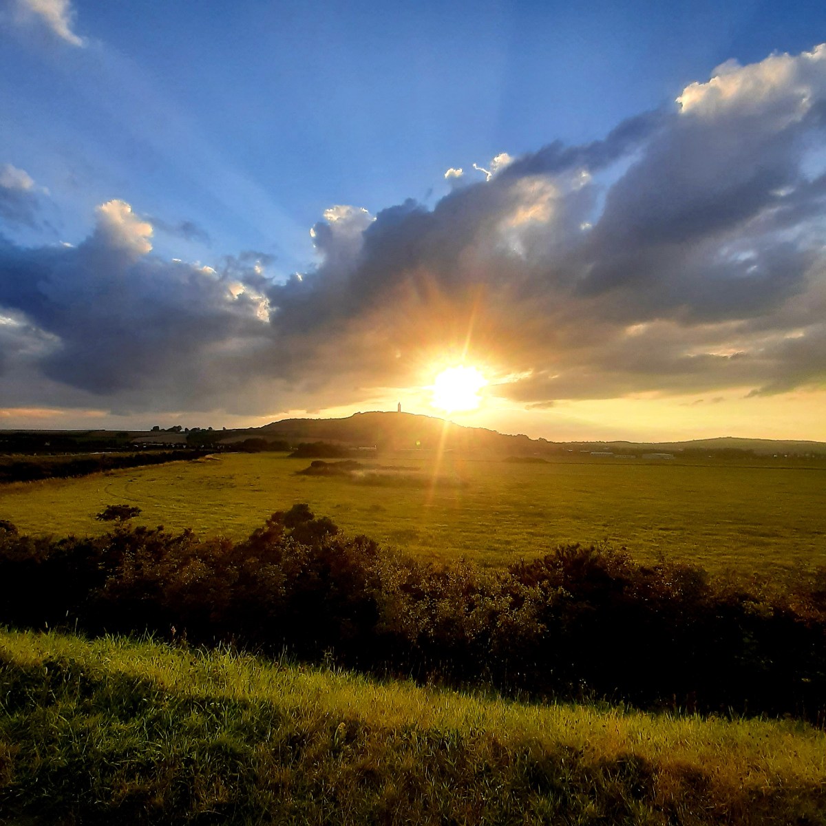 NEW WRITING SPACE: SUBSTACK – WILD WORDS